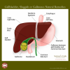 Sluggish Gallbladder or Gallstones? Read Our Guide